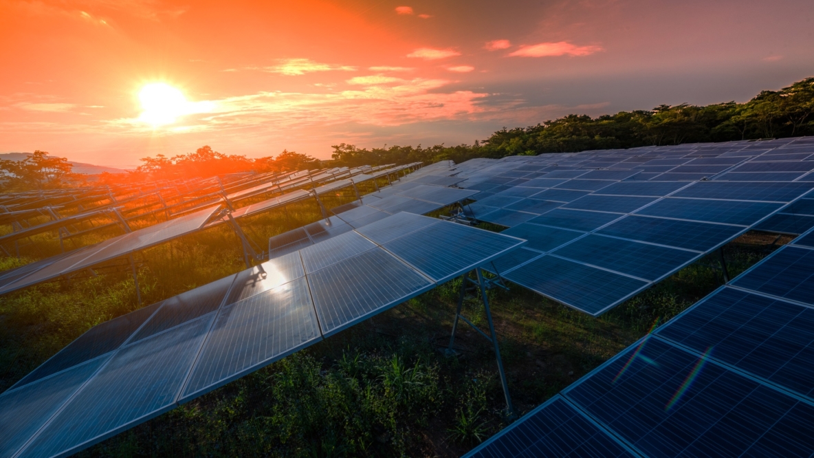 Octopus Inheritance Tax Service | Octopus Investments