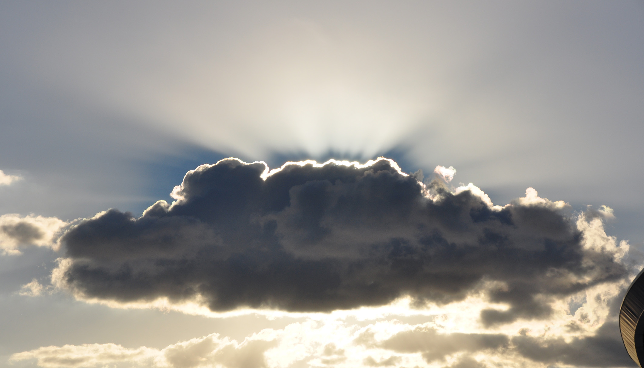 Current venture capital opportunities | Octopus Investments