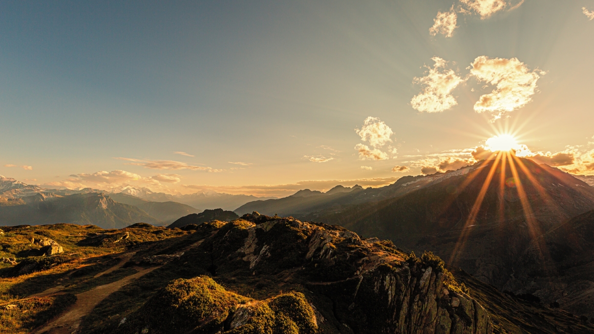 FP Octopus UK Multi Cap Income Fund | Octopus Investments