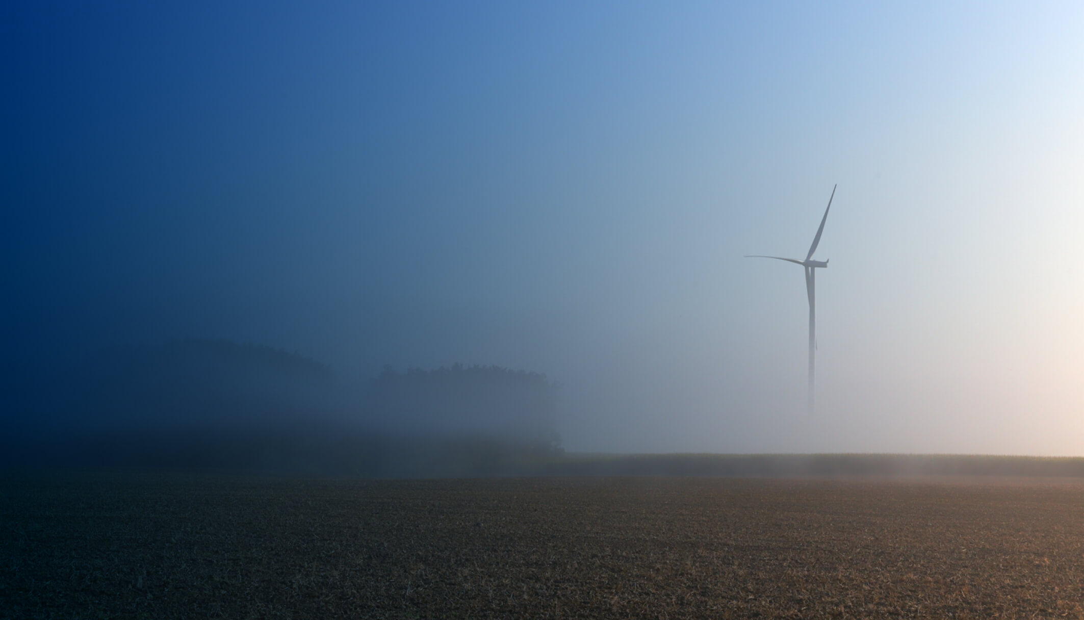 The macro landscape for Fern’s businesses | Octopus Investments